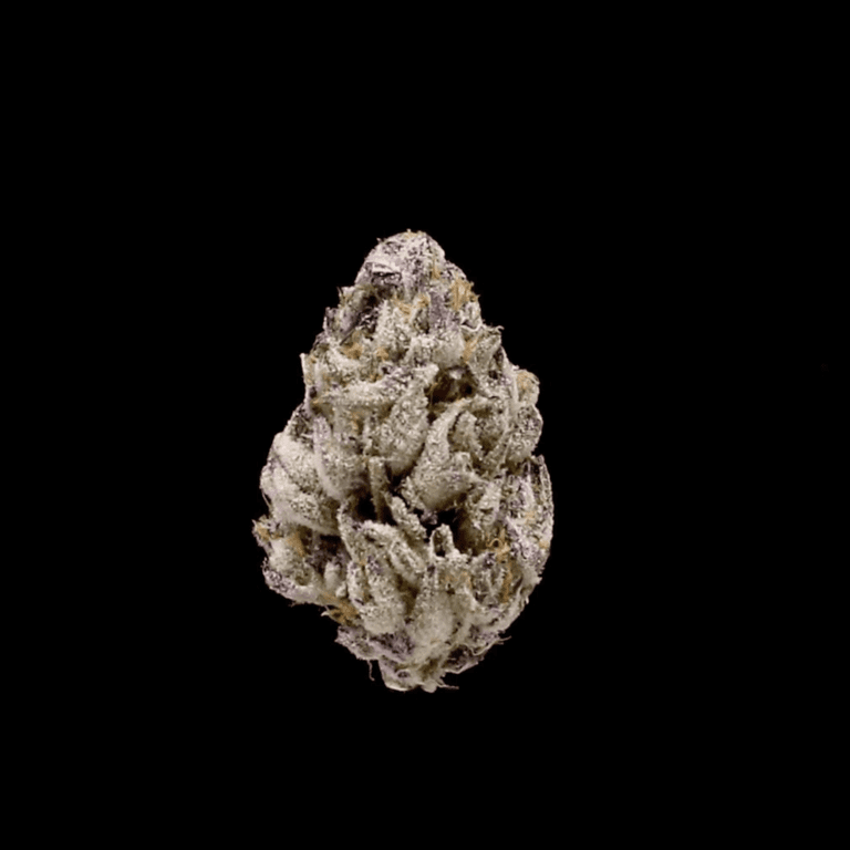 Shop - Stoner & Co.